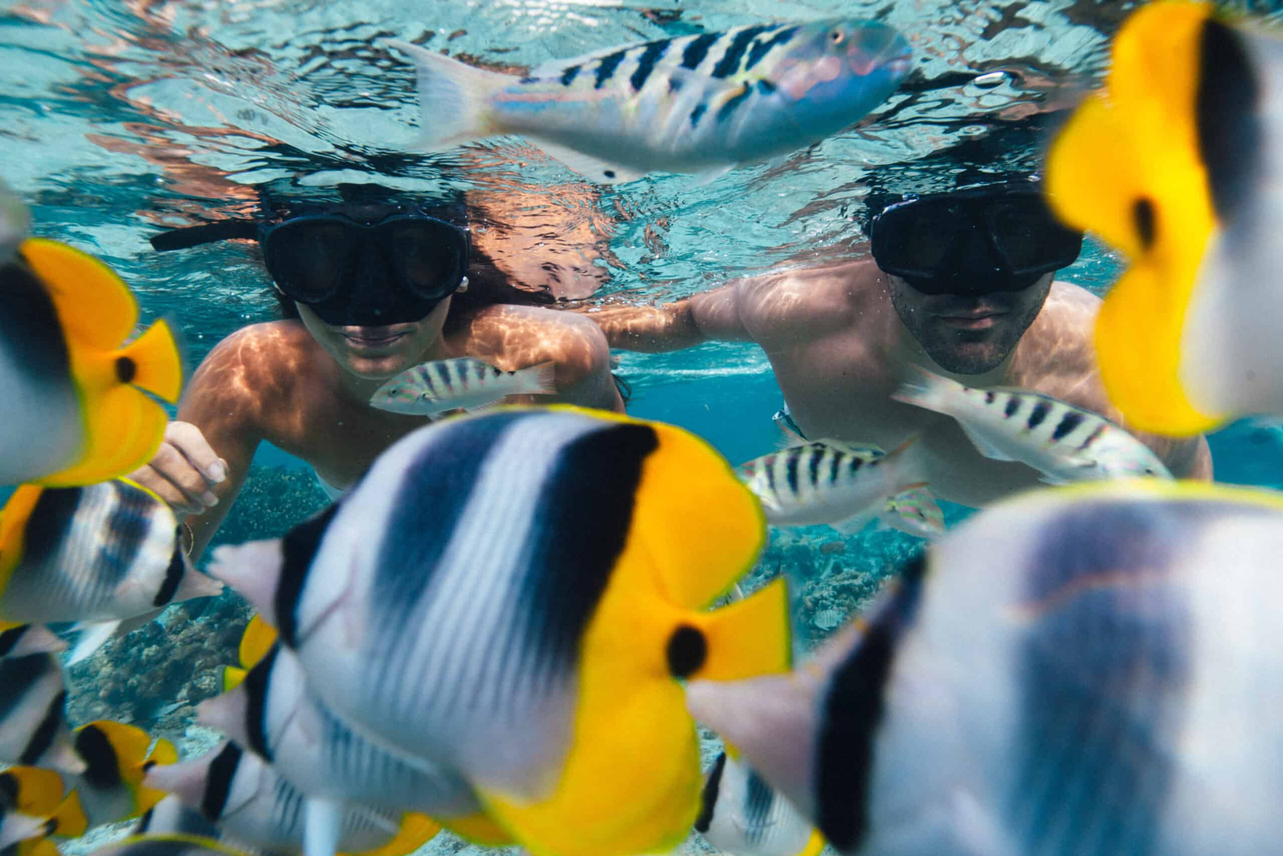 Homepage - Raiatea Blue Lagoon